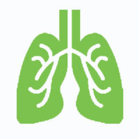 DEXA Scan | RMR | VO2 Max | Nutrition | Live Lean Rx Houston